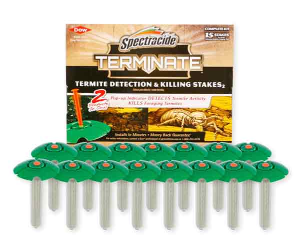 Best Termite Killer (May 2024) – Buyer’s Guide and Reviews